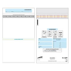 Keepsafe Clear Security Deposit Bag 10 In W X 14 In H - ParkingZone